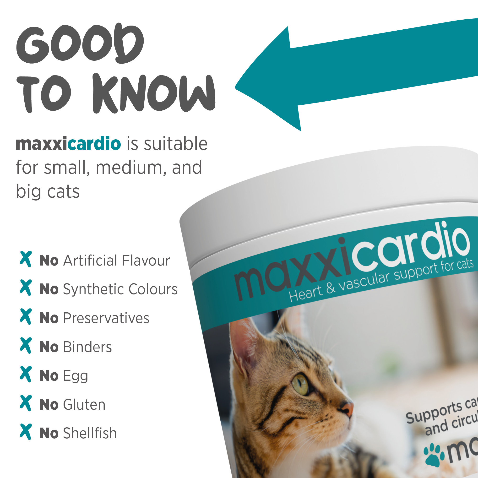 maxxicardio - maxxipaws